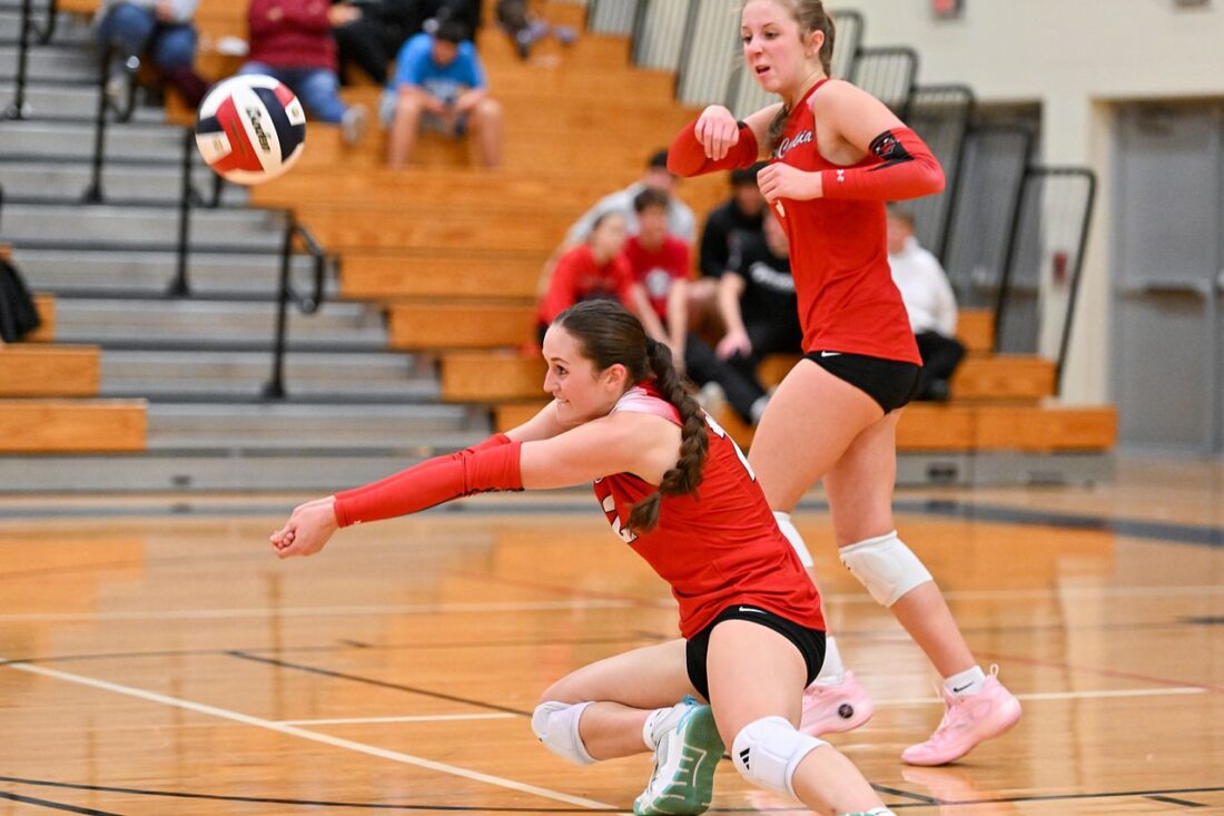 Lady Red Devils volleyball season ends in semifinals | News, Sports ...